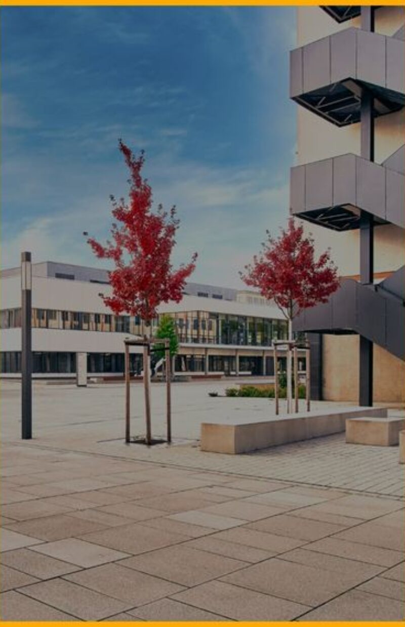 Informationsplattformen für die HHL Community | HHL